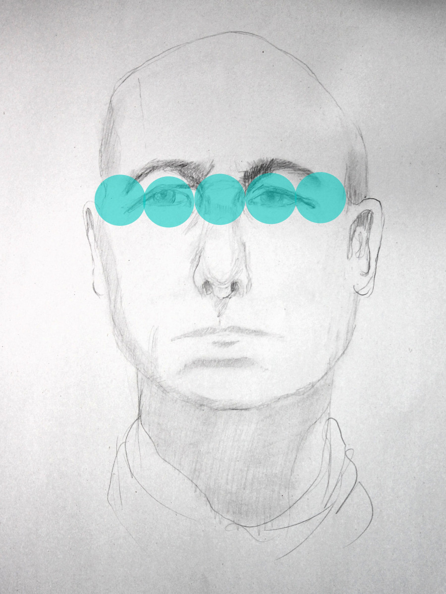 Portrait drawing : Basic proportions of the face - ARTiful: painting demos