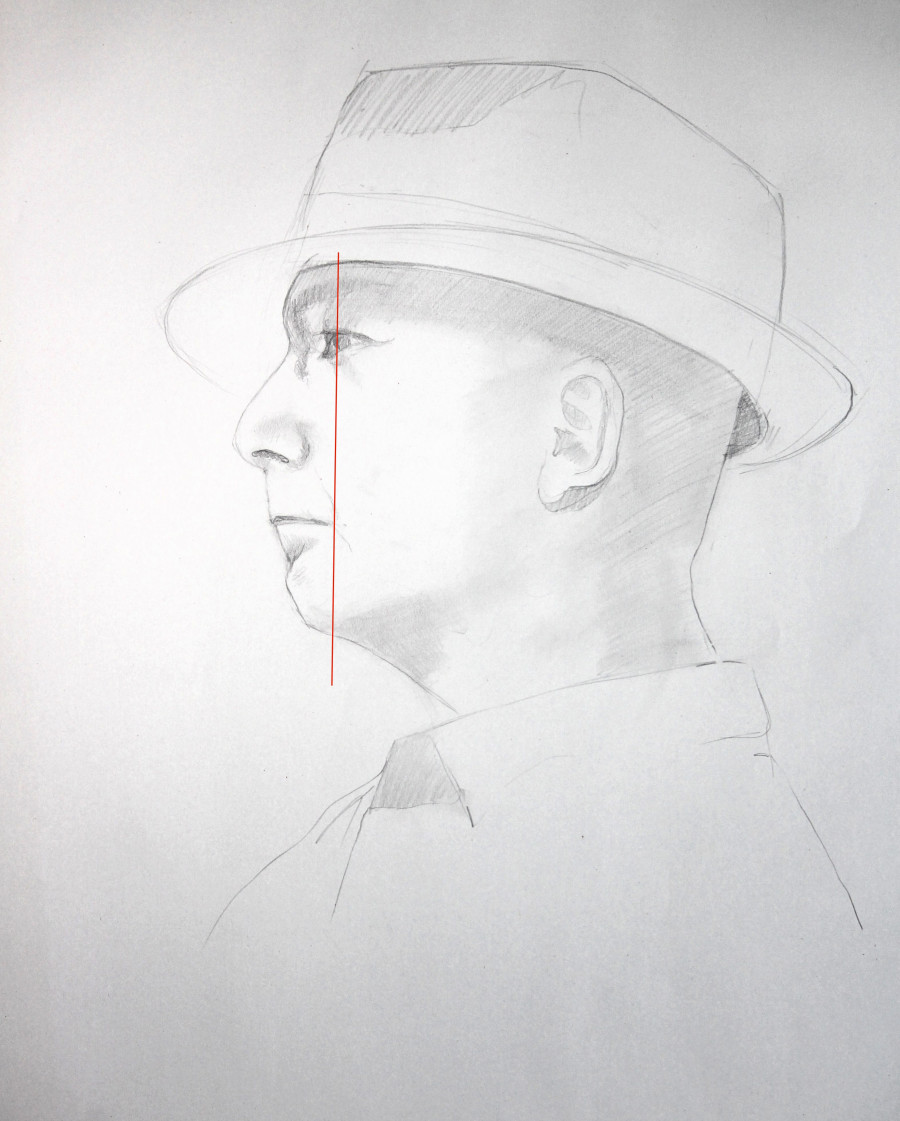 Portrait drawing : Basic proportions of the face - ARTiful: painting demos